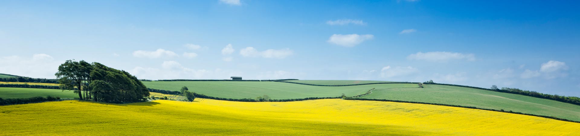 Our commitment to the environment | National Express